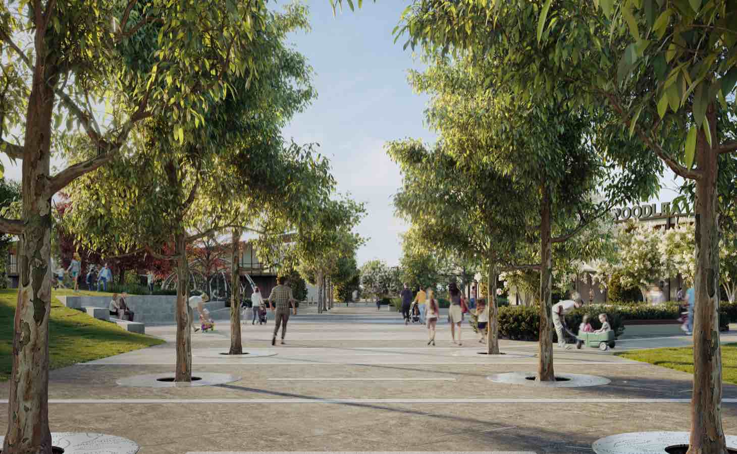 Townhomes | Woodlea